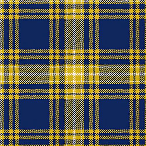 UNC Greensboro Tartan – Scottish Kilt