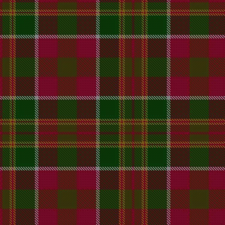 Henry Clan Tartan | Scottish Kilt™